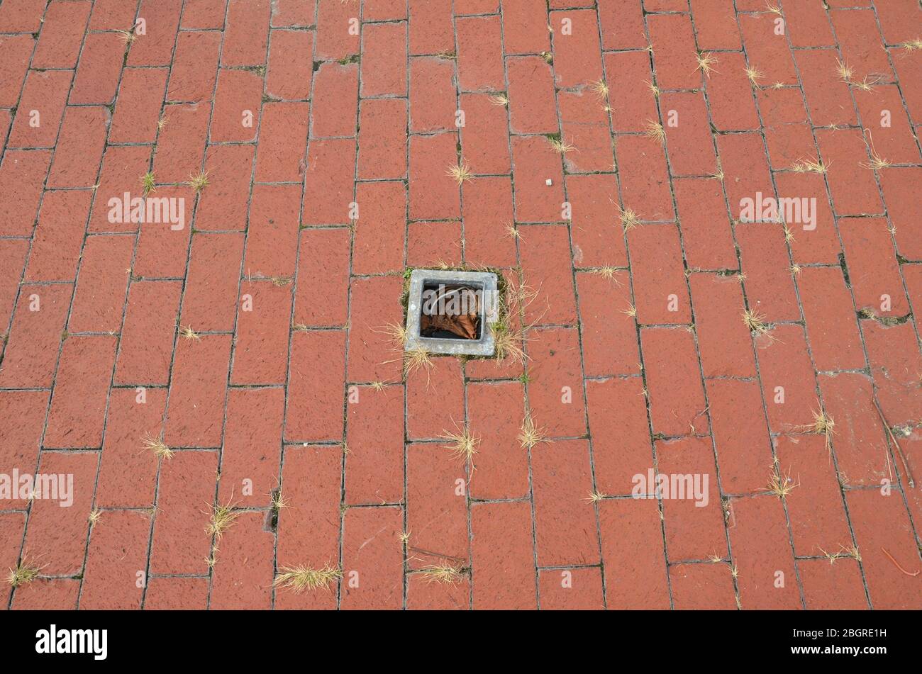 red bricks with broken street light on ground with grass or weeds Stock ...