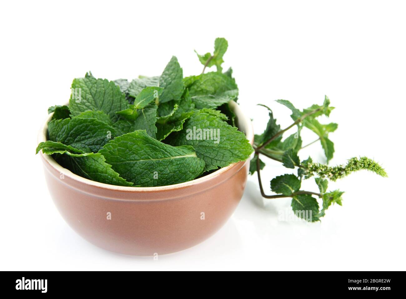 Brown round bowl of fresh mint leaves on white background isolated ...