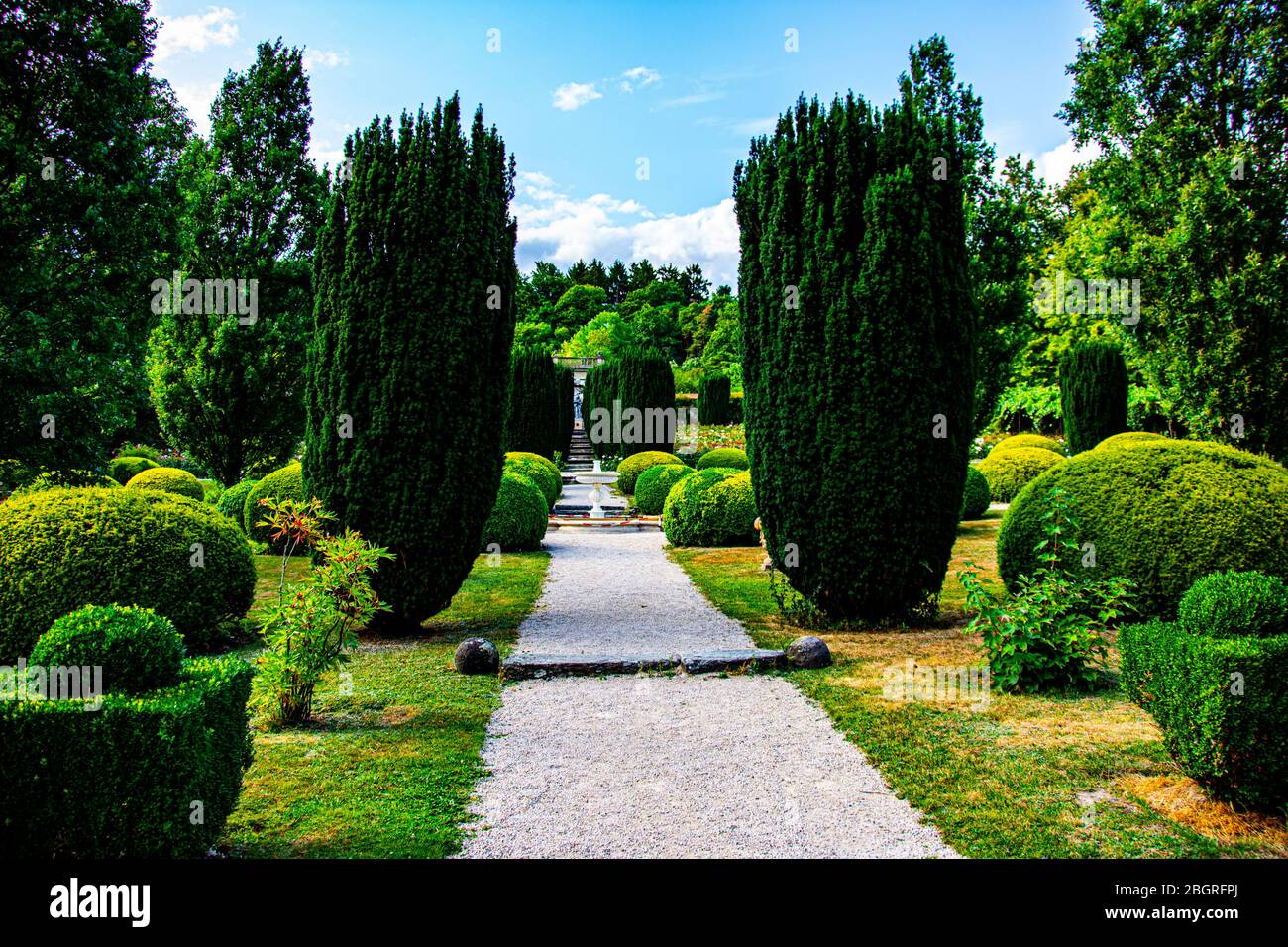 Beautiful garden with different kind of plants Stock Photo - Alamy