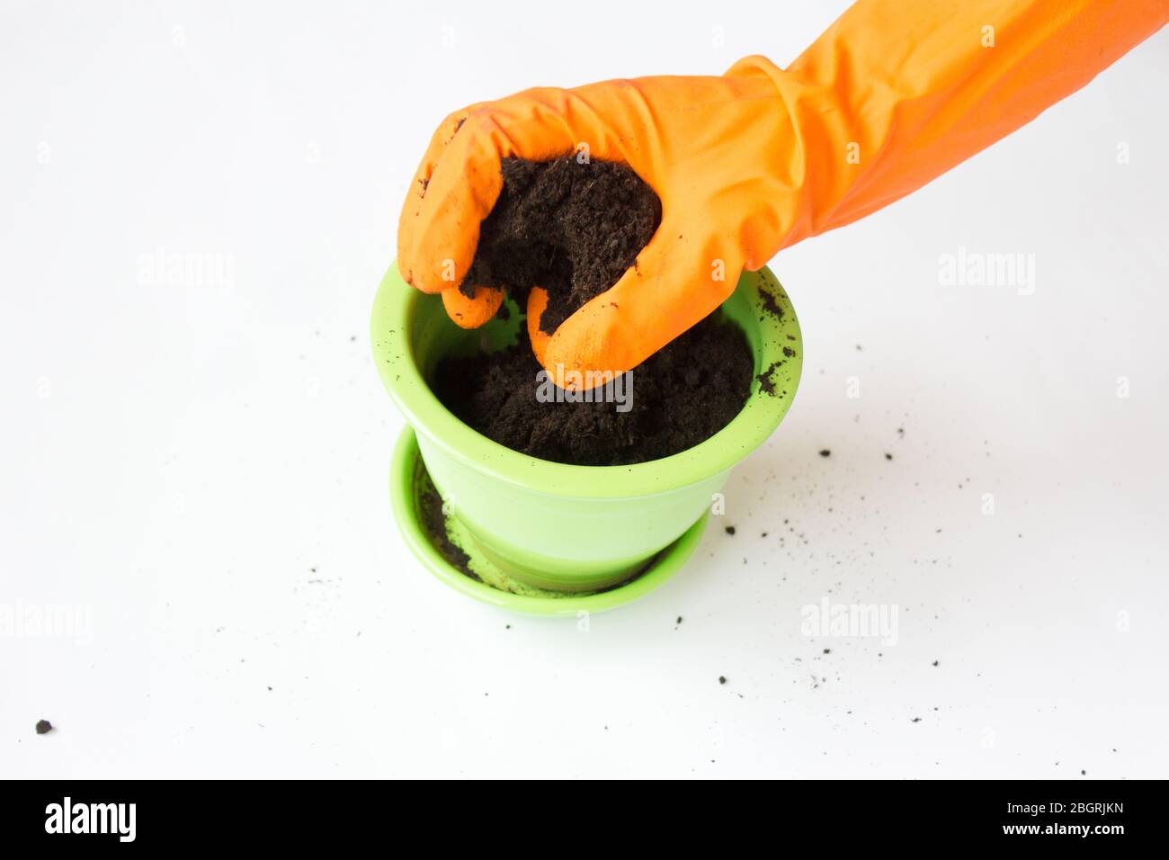 How to grow a pot plant seeds hi-res stock photography and images - Alamy