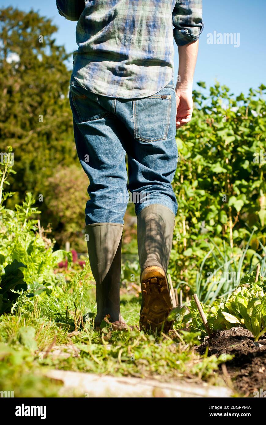 Portrait format shot hi-res stock photography and images - Alamy