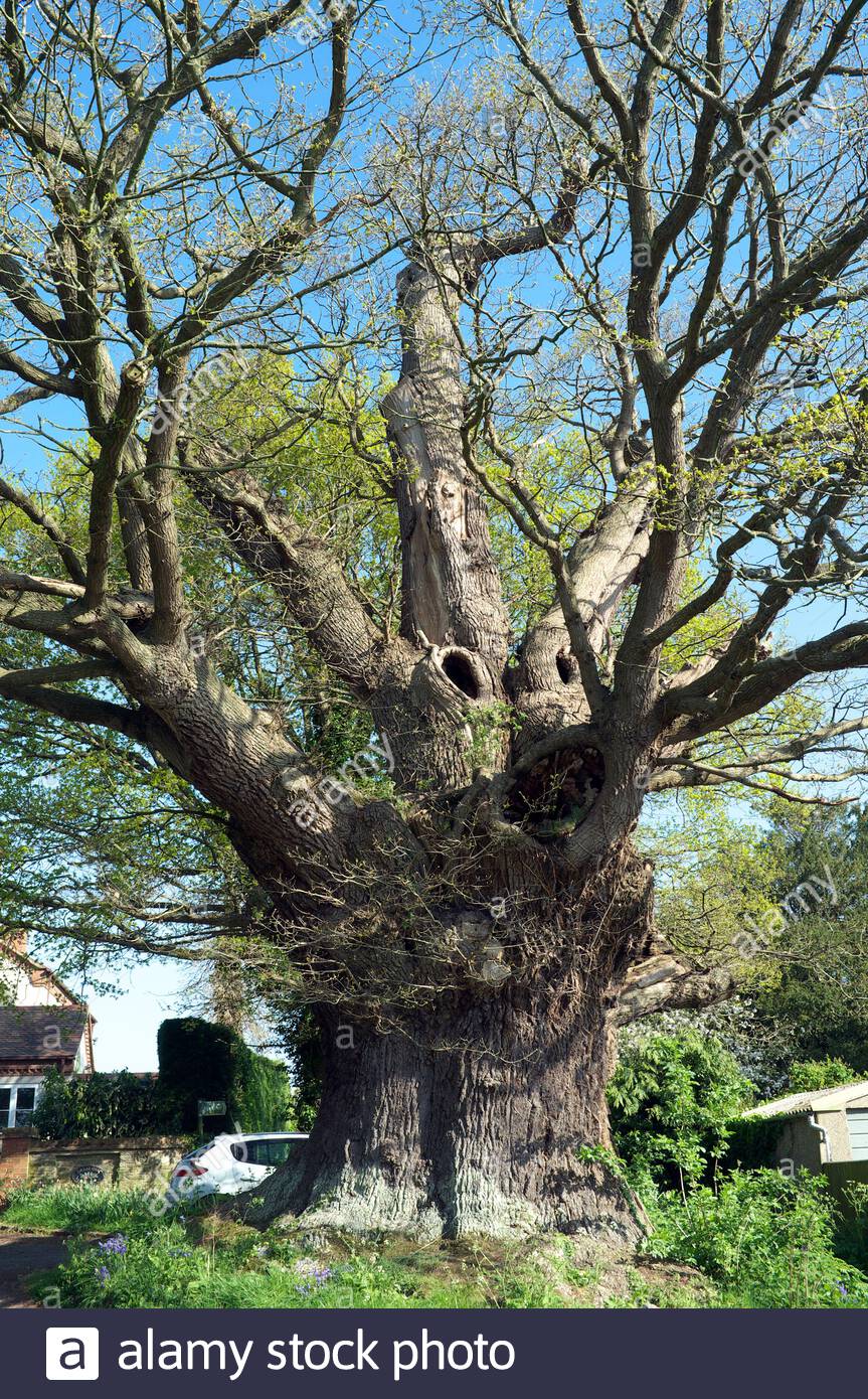 Eardisley Herefordshire Uk High Resolution Stock Photography and Images ...