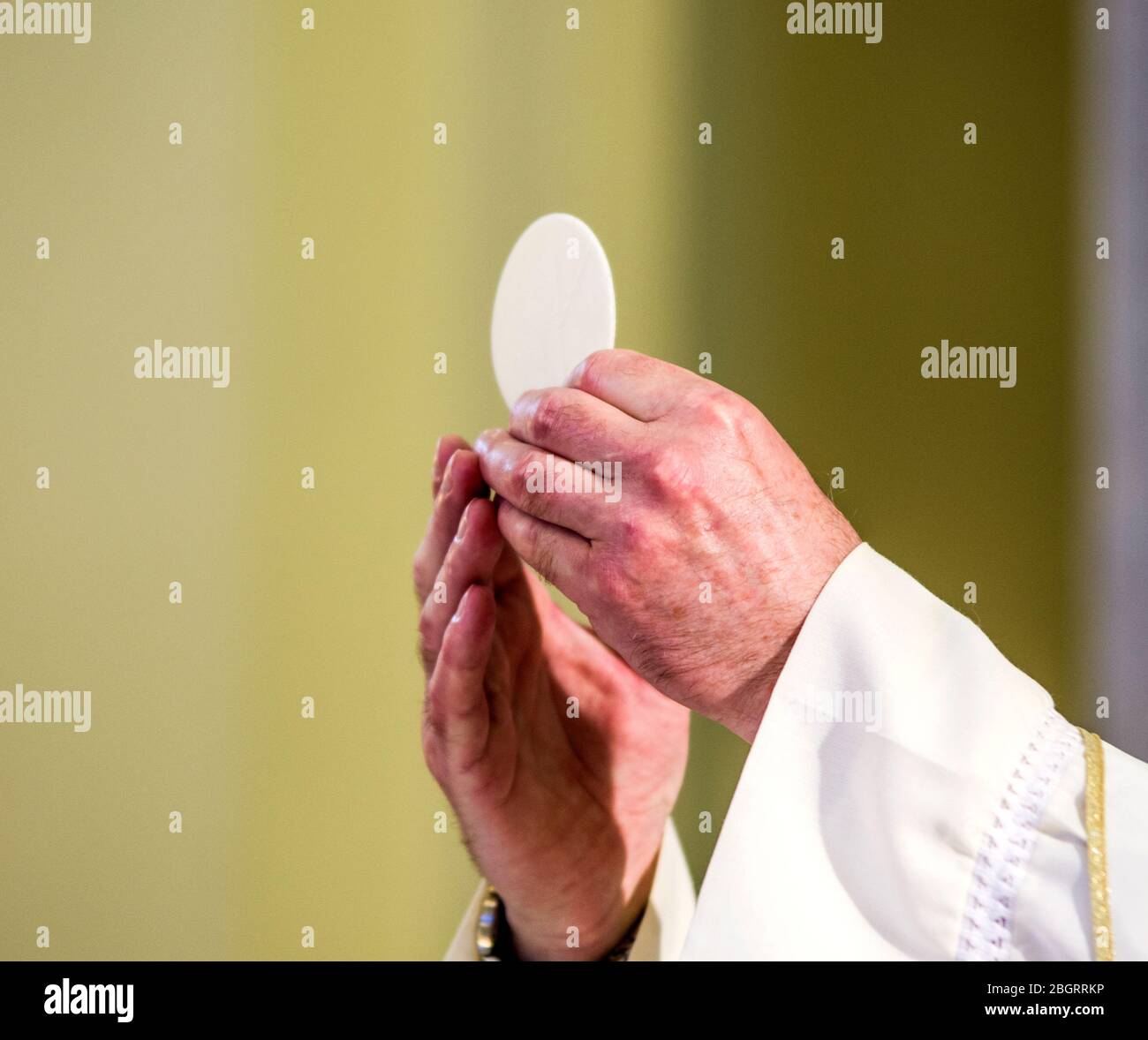 during the celebration of the Mass the hands of the priest, like the ...