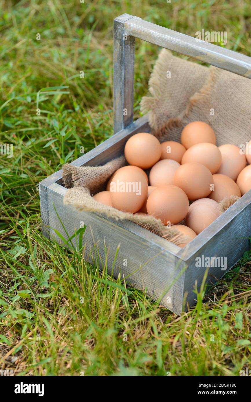 Eggs in wooden basket on grass outdoors Stock Photo - Alamy