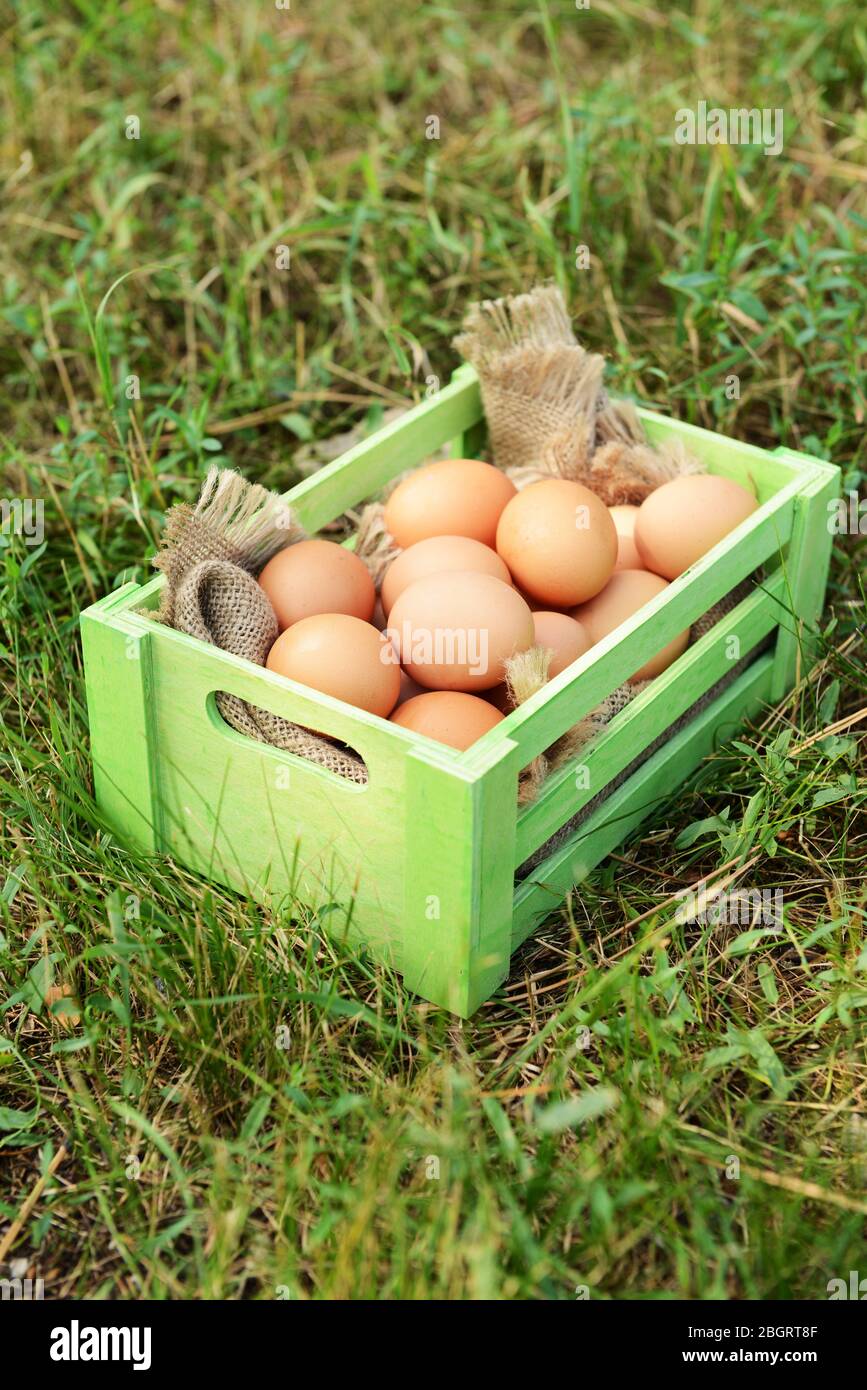 Eggs in wooden box on grass outdoors Stock Photo - Alamy