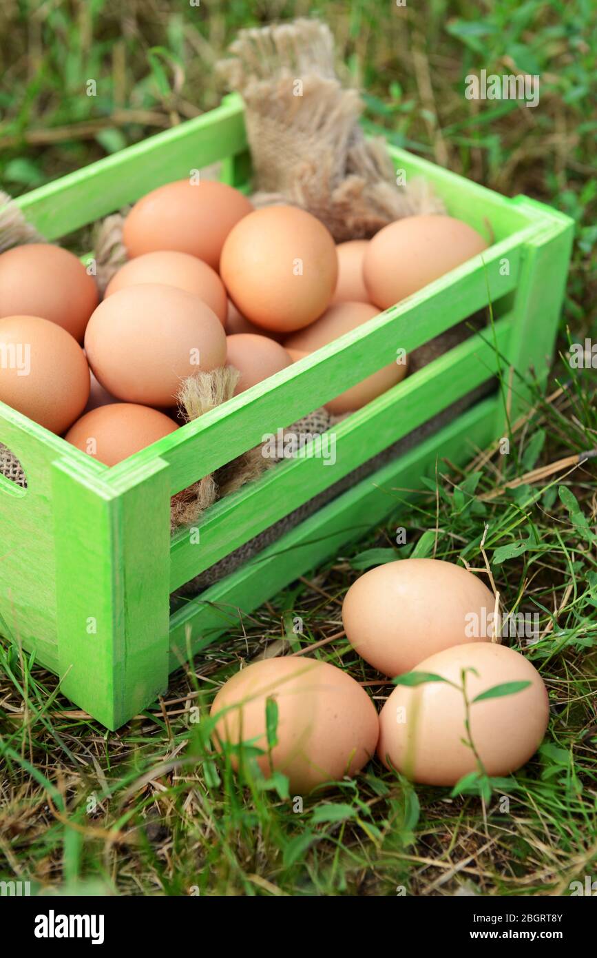Eggs in wooden box on grass outdoors Stock Photo - Alamy