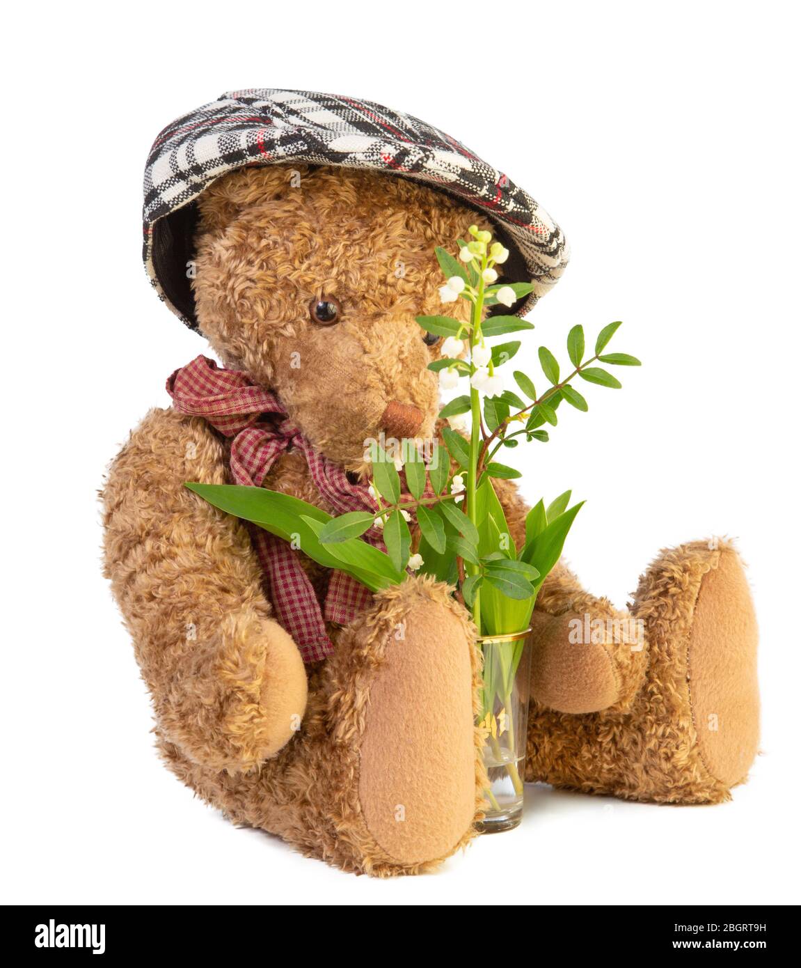 Lily toy hi-res stock photography and images - Alamy