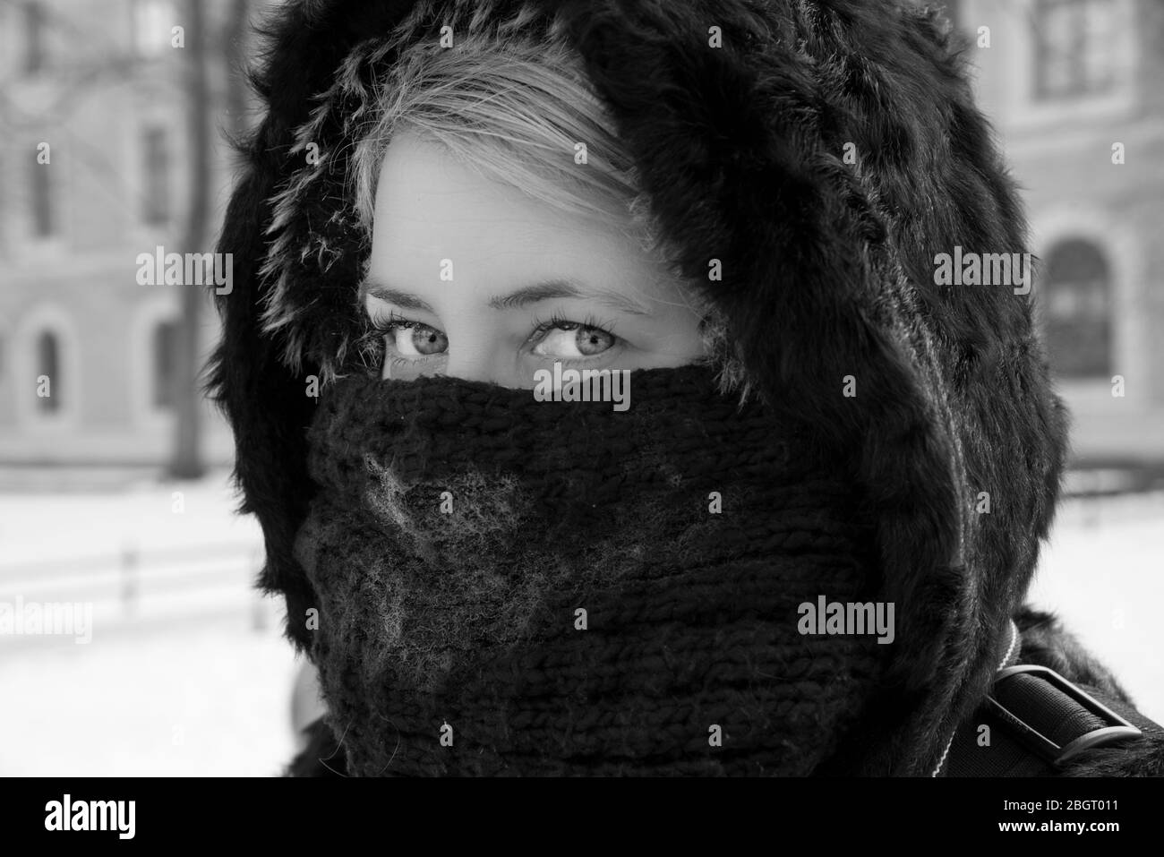 Icy blue eyes hi-res stock photography and images - Alamy
