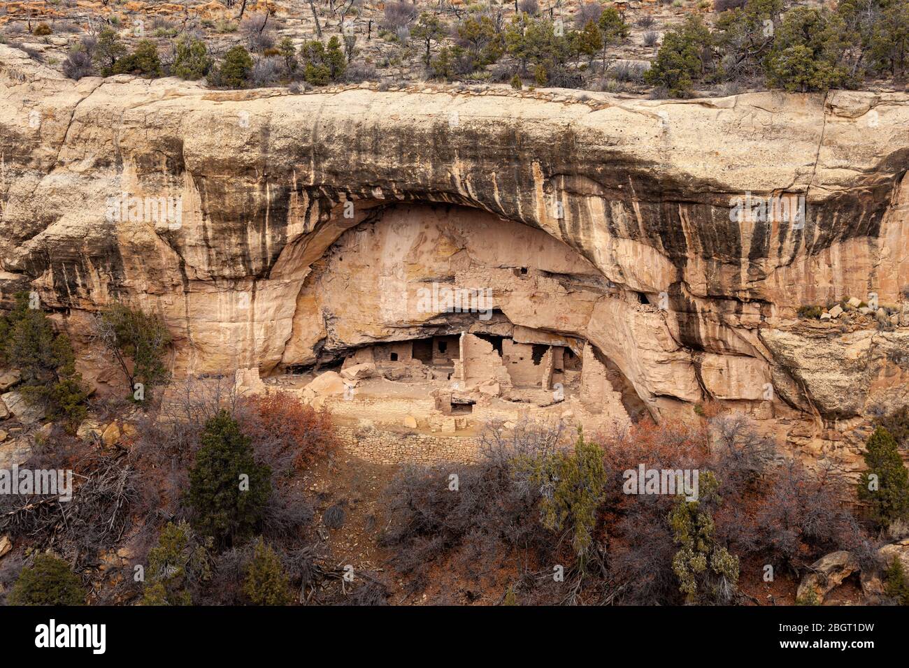CO00229-00...COLORADO - Cliff dwellings of the Ancestral Pueblo People ...