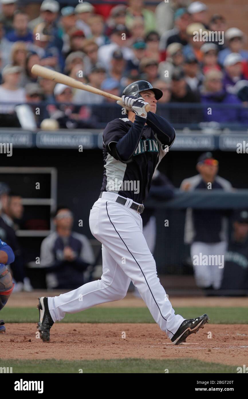 Equipo de cachorros hi-res stock photography and images - Alamy