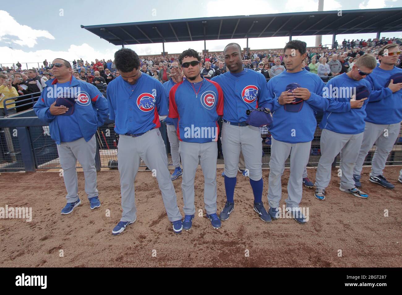 Equipo de cachorros hi-res stock photography and images - Alamy