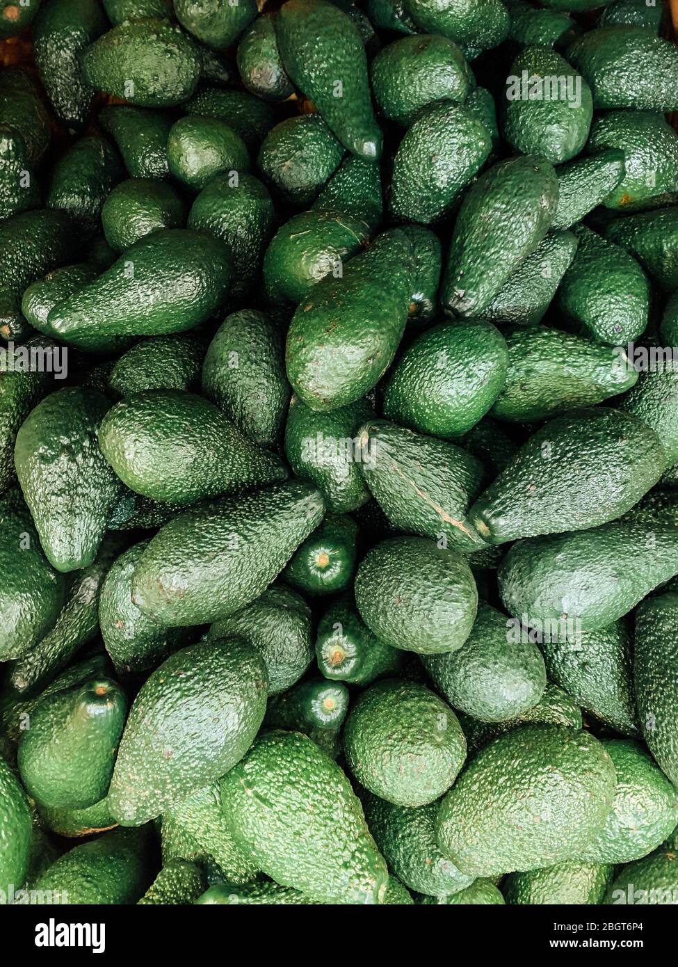 lots of ripe green avocado fruit for eating a background Stock Photo ...