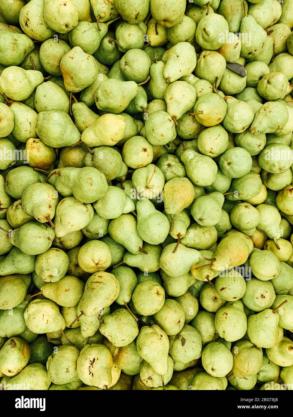 lots of ripe fruit green pears for eating like a background Stock Photo ...