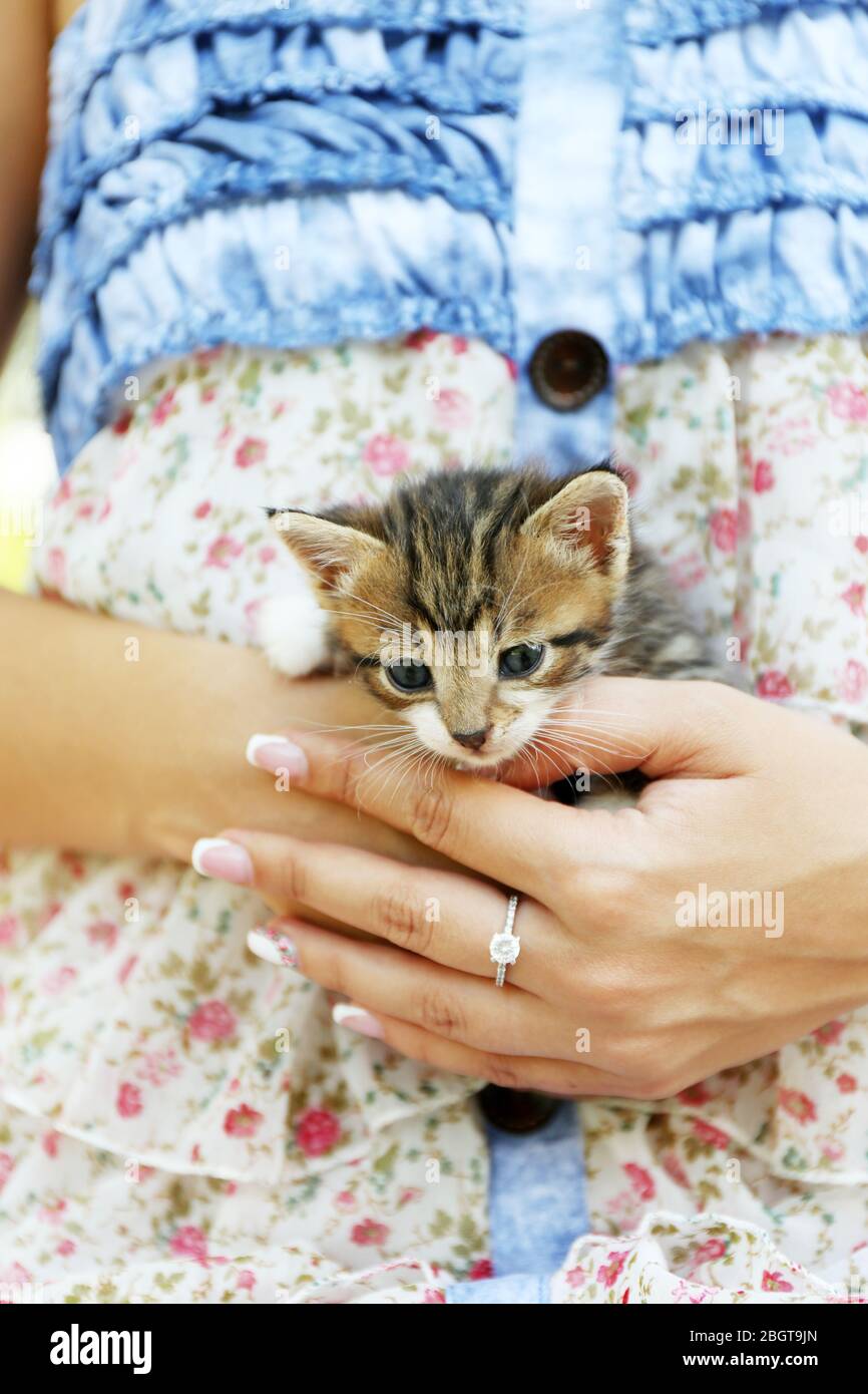 Cute little kitten in hands outdoors Stock Photo - Alamy