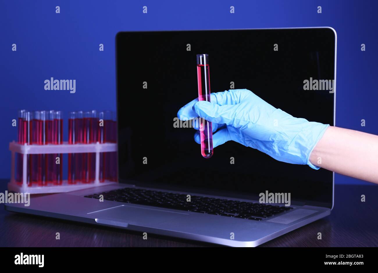 Scientist entering data on laptop computer with test tubes in a ...