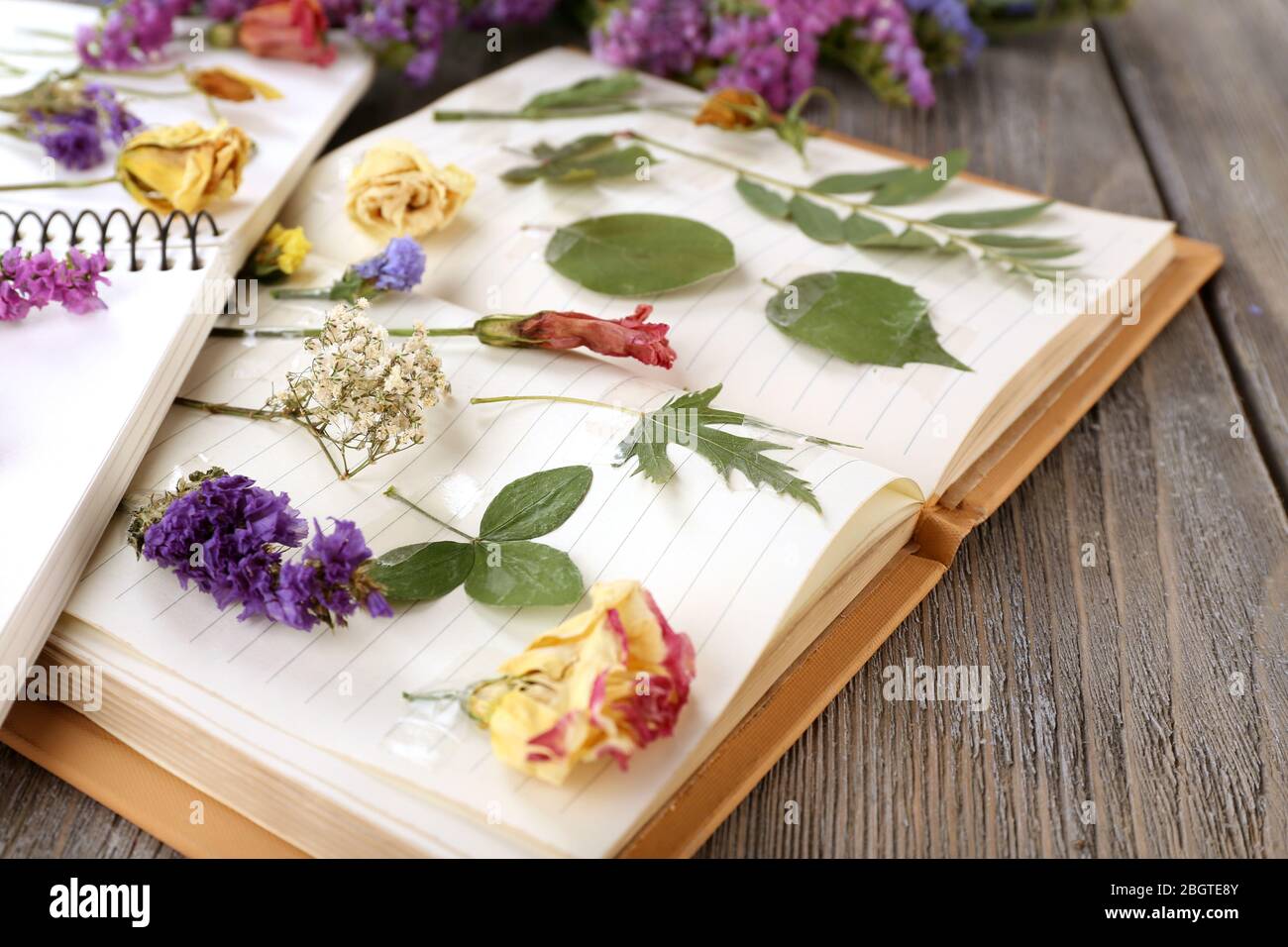 Composition with flowers and dry up plants on notebooks on table close ...