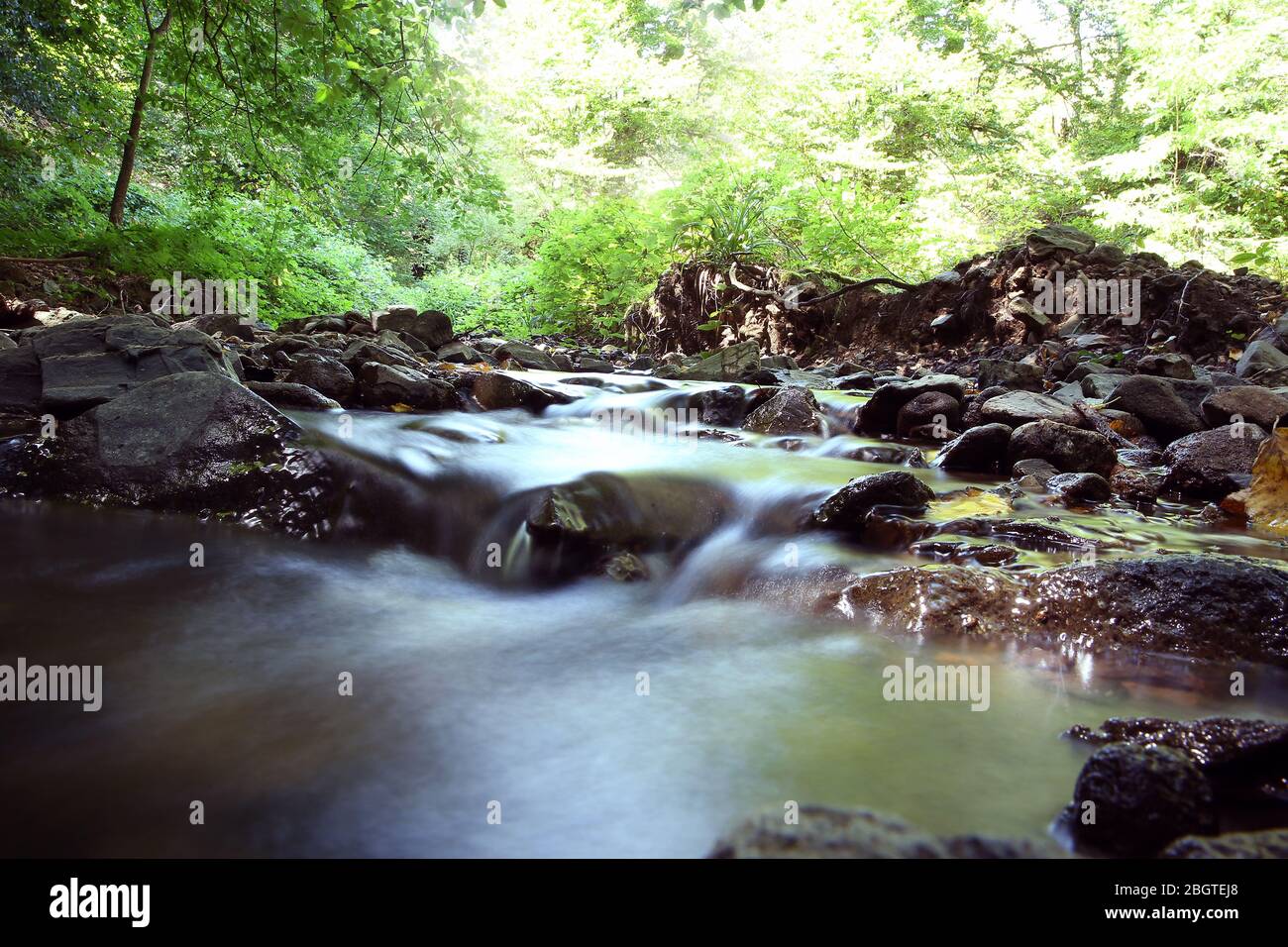Fast Shutter Speeds High Resolution Stock Photography and Images - Alamy