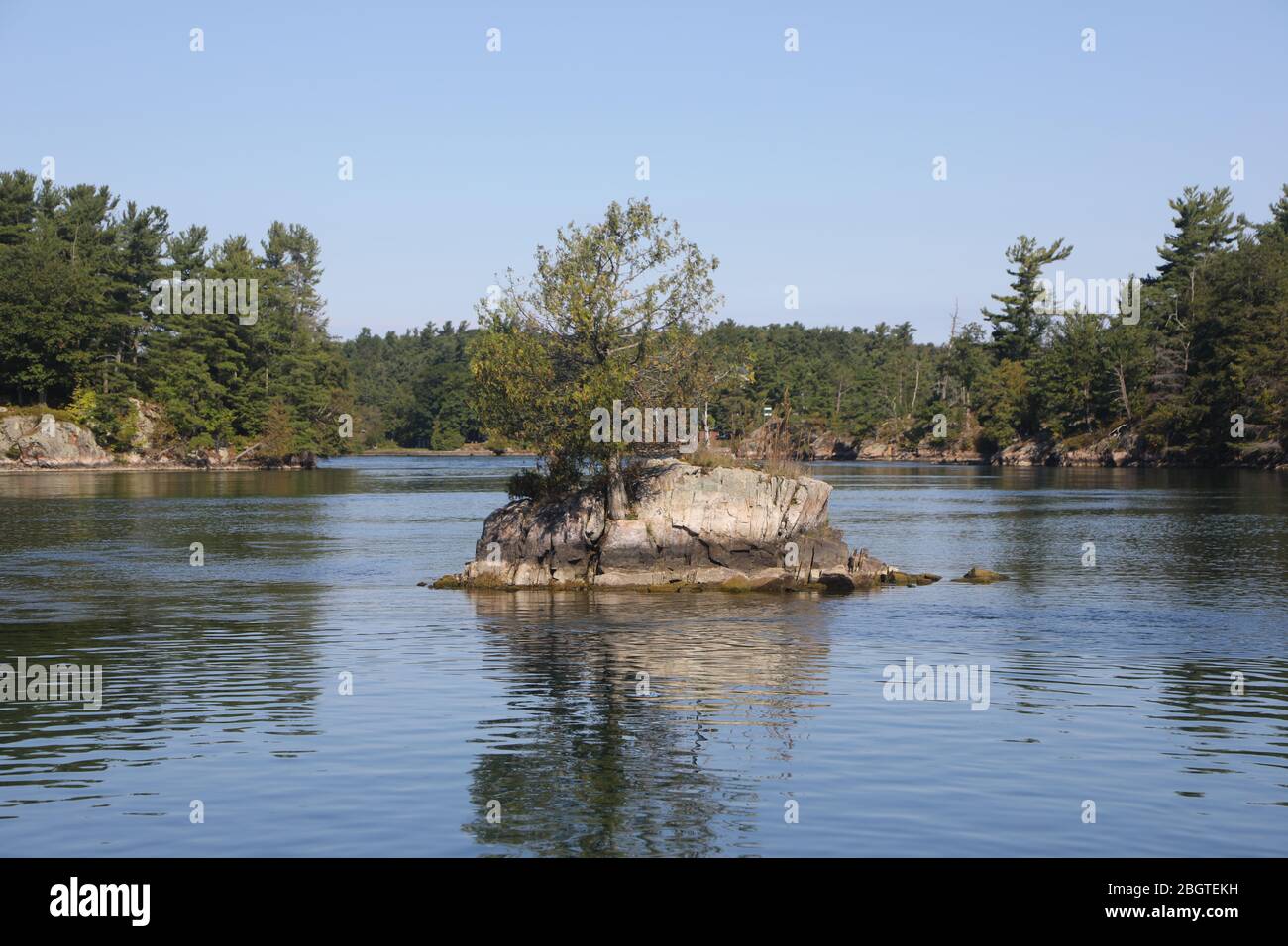 Tiny river island with tree Stock Photo - Alamy