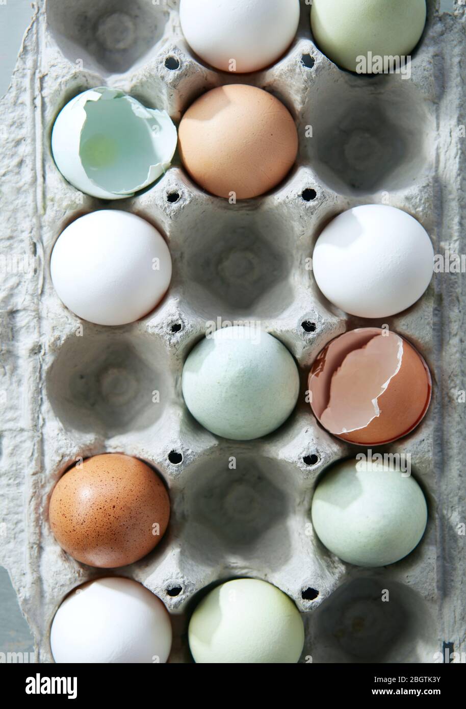 Dozen birds hi-res stock photography and images - Alamy