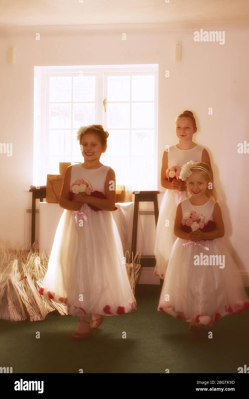 Lenwade hi-res stock photography and images - Alamy