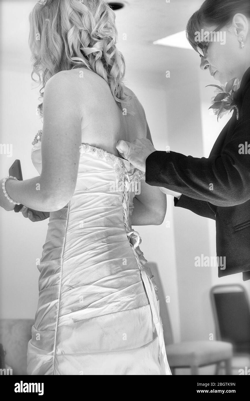 Lenwade hi-res stock photography and images - Alamy