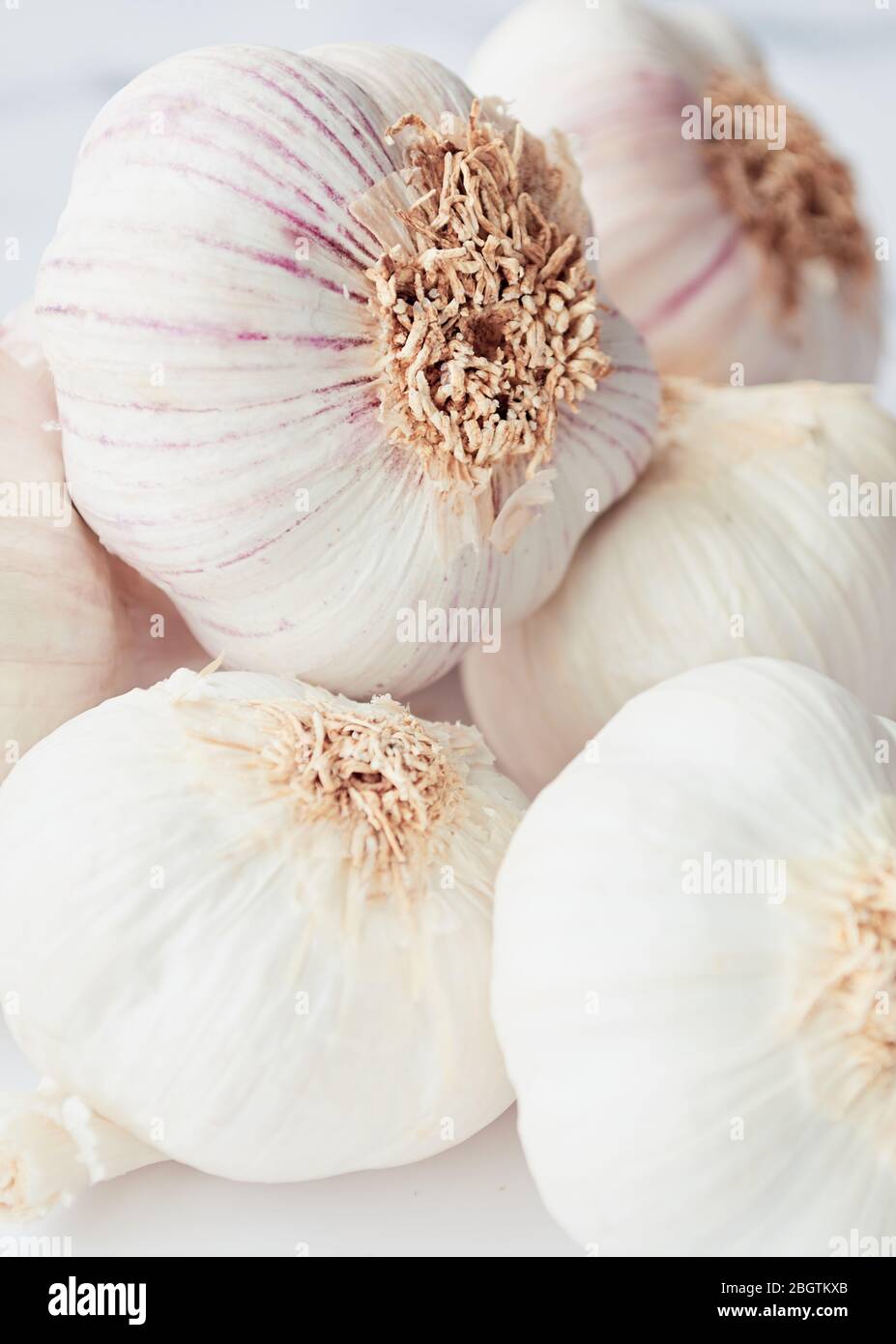 Pile of white garlic stacked on a light background.Food and condiments ...