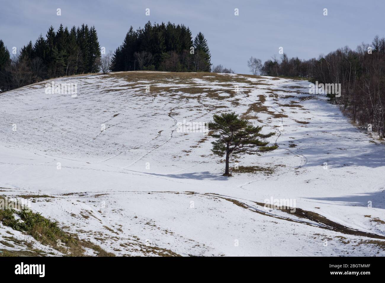 Keen wind hi-res stock photography and images - Alamy