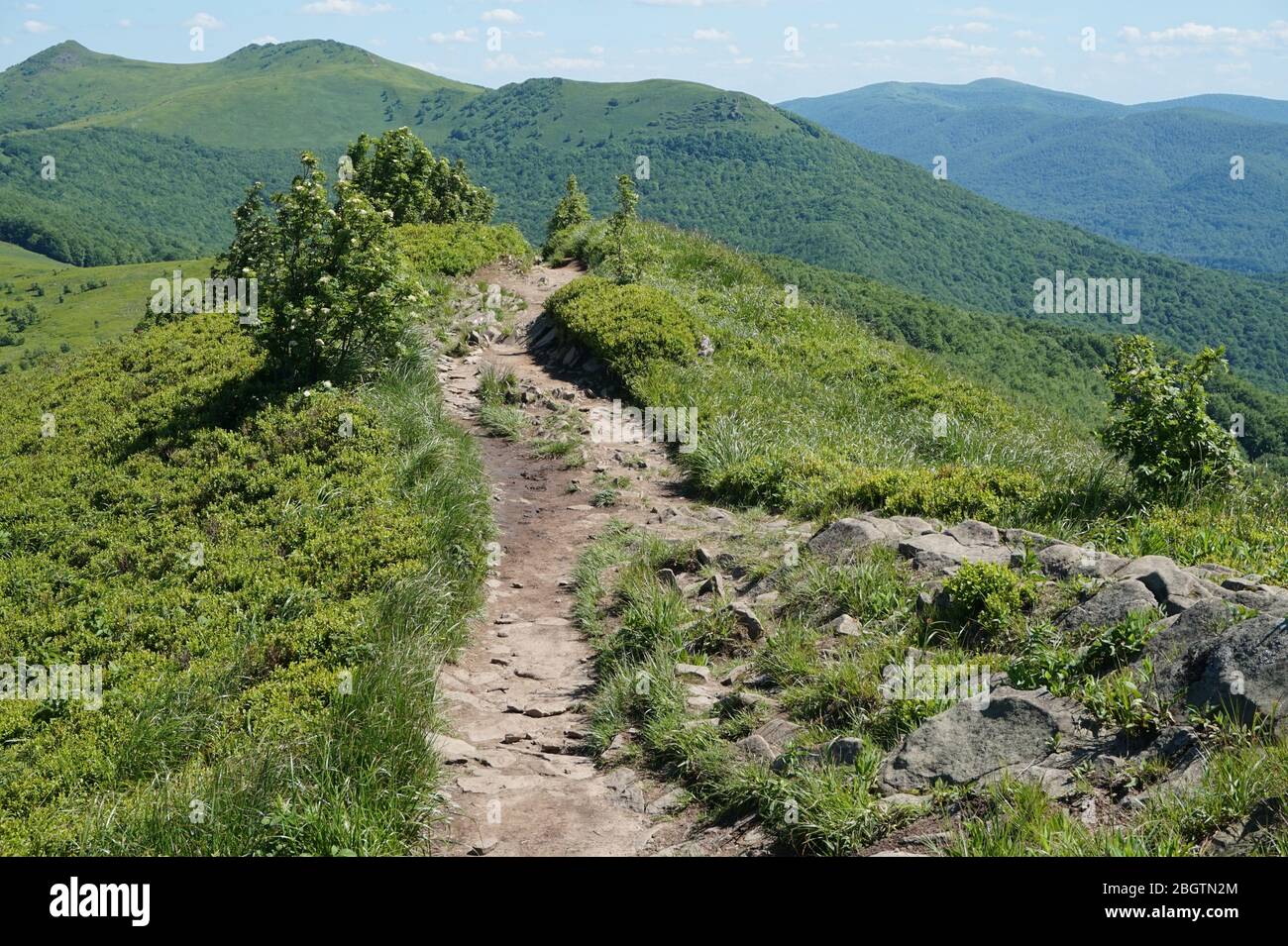 Bieszczady national park mountains hi-res stock photography and images ...