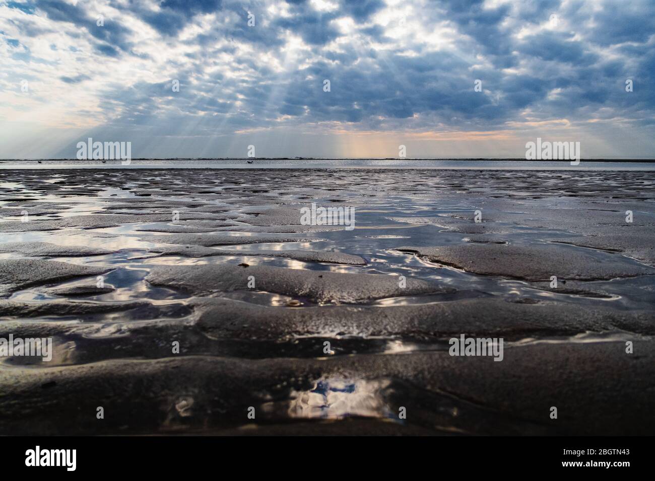 Sunset and ebb tide on a beach Stock Photo - Alamy