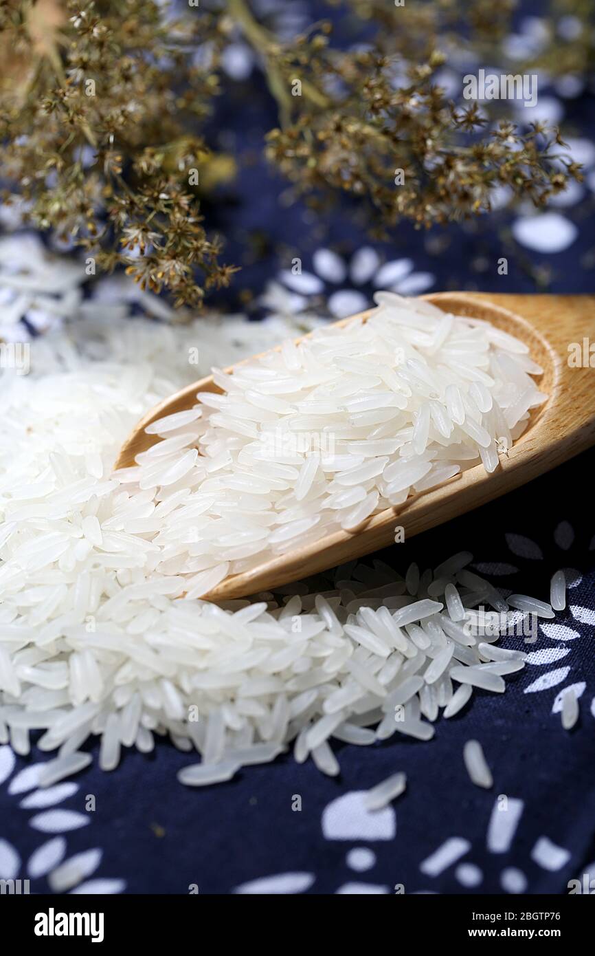 Thai fragrant rice hi-res stock photography and images - Alamy