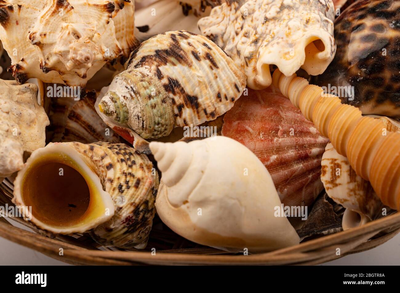 Different shells in a wicker basket on a white background. Close up ...