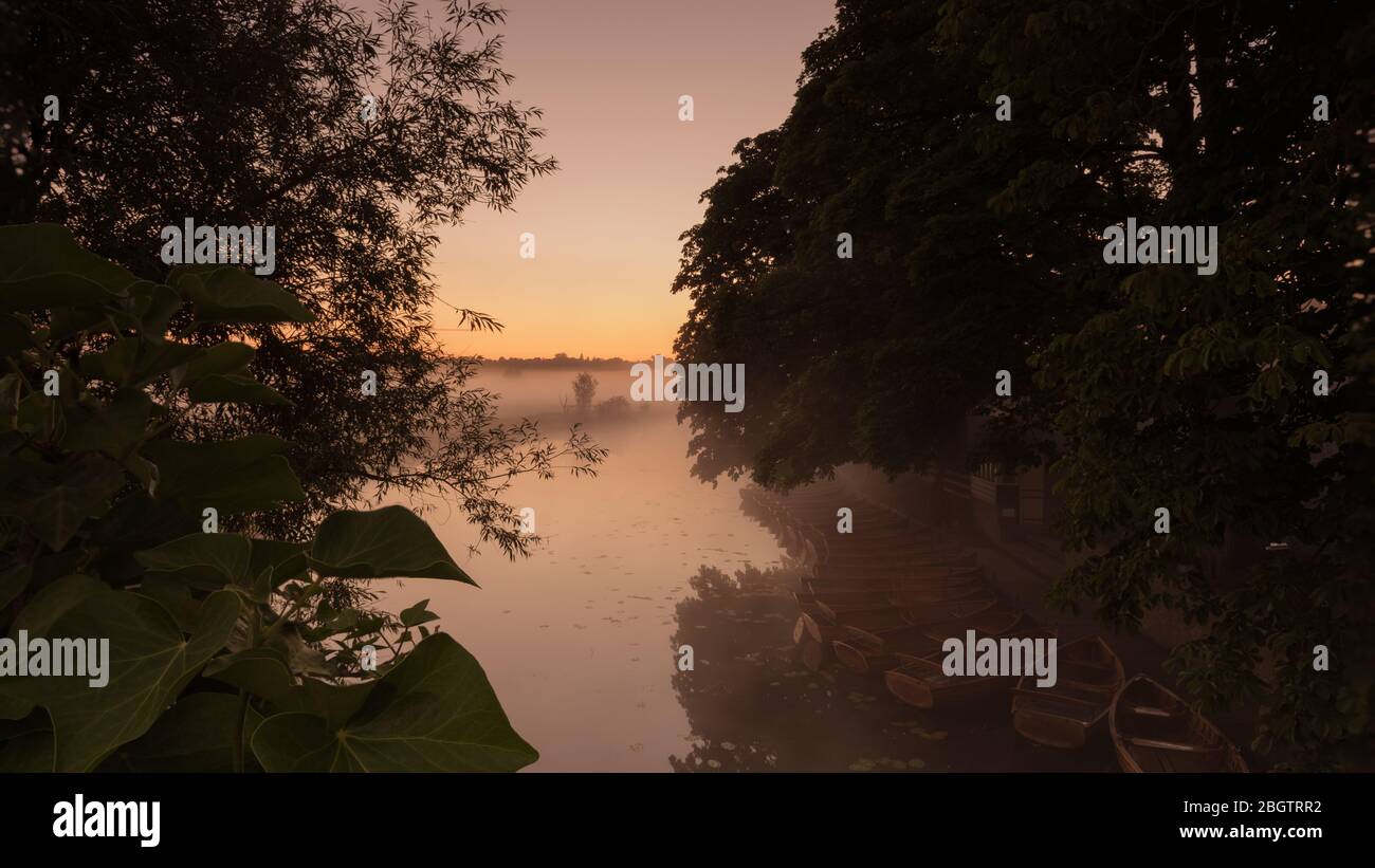 Dedham essex rowing hi-res stock photography and images - Alamy
