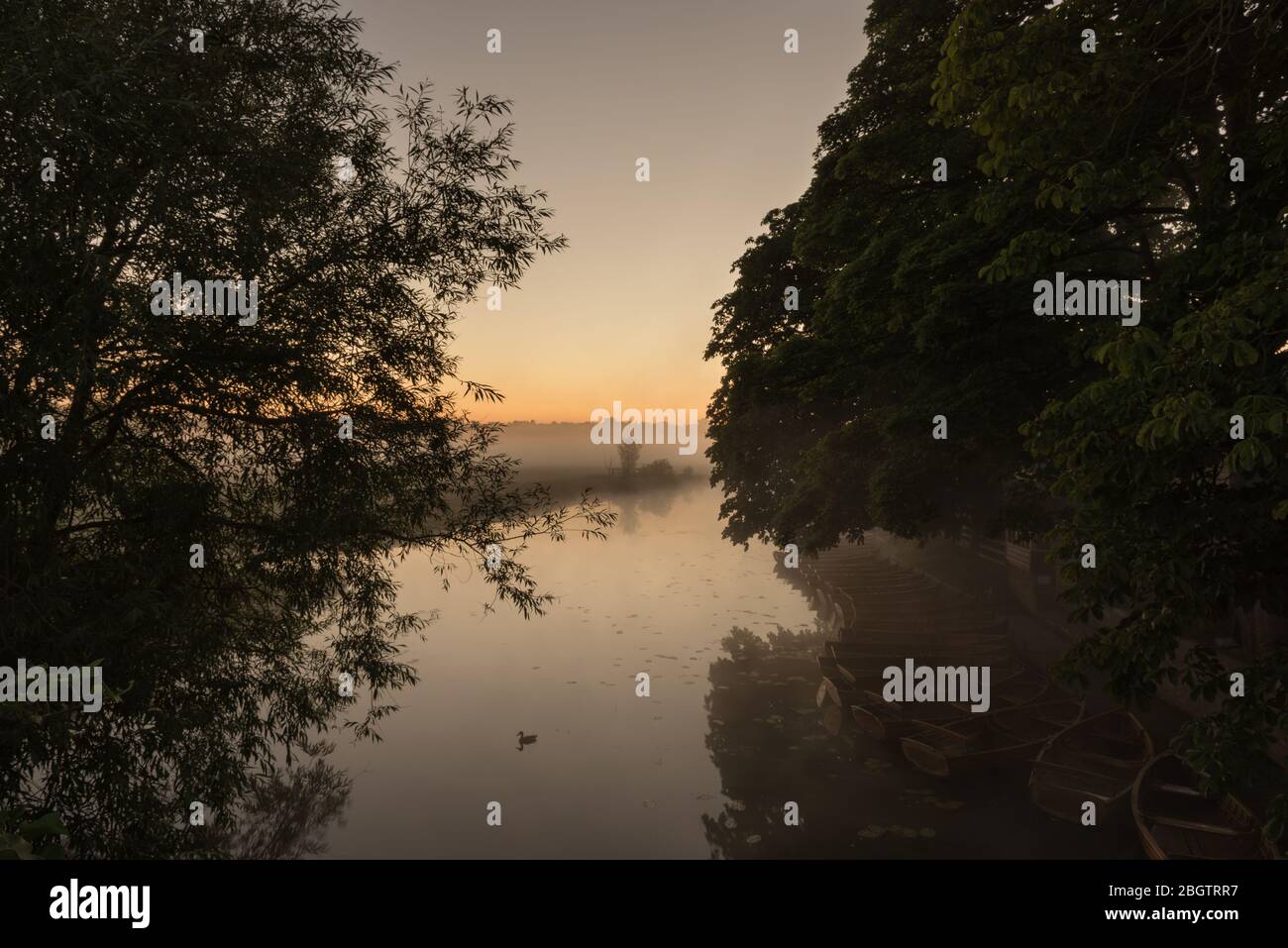 Dedham essex rowing hi-res stock photography and images - Alamy