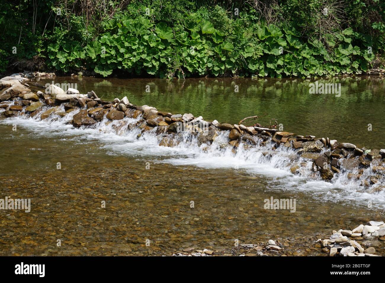 Clean mountain river/ stream Stock Photo - Alamy