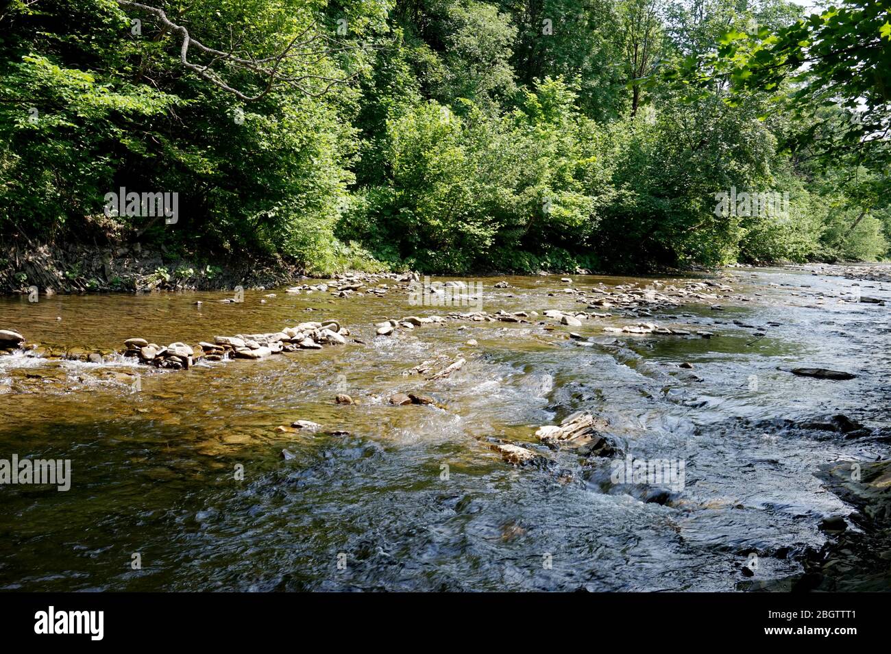 Clean mountain river/ stream Stock Photo - Alamy