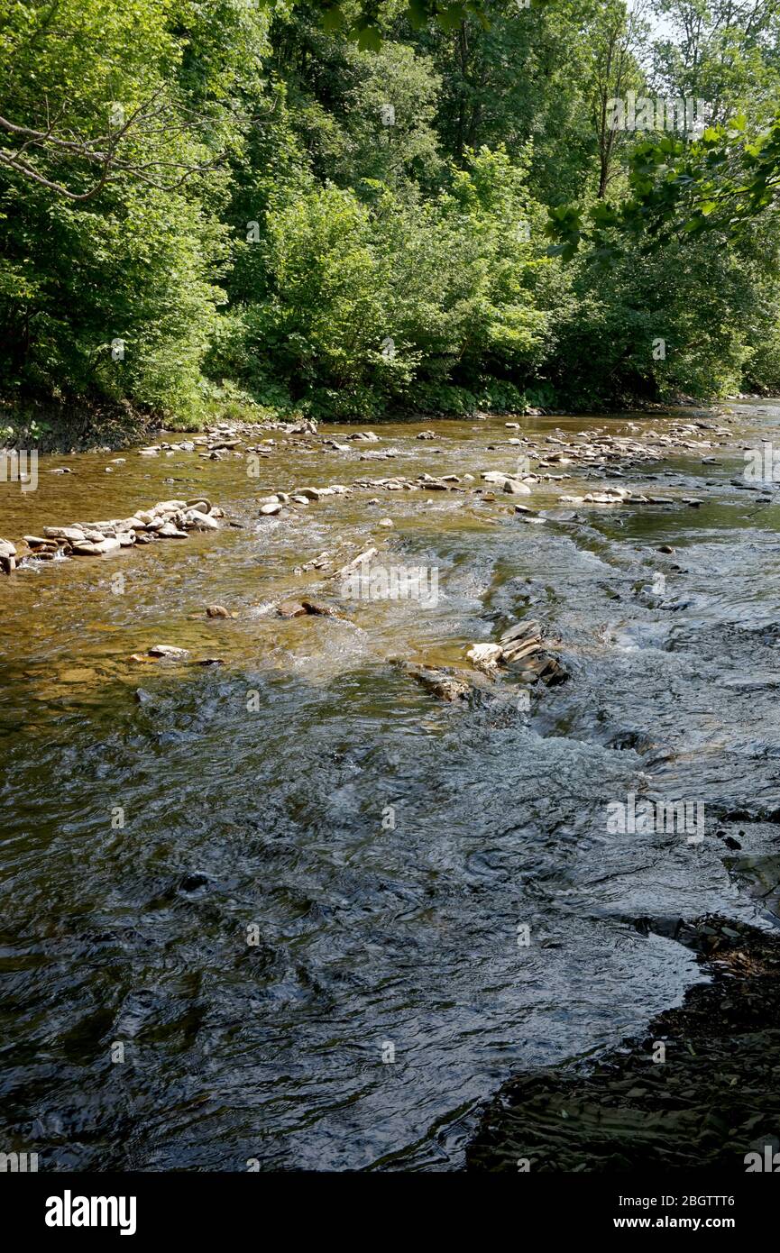 Clean mountain river/ stream Stock Photo - Alamy