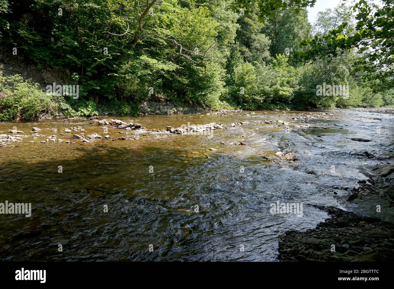 Clean mountain river/ stream Stock Photo - Alamy