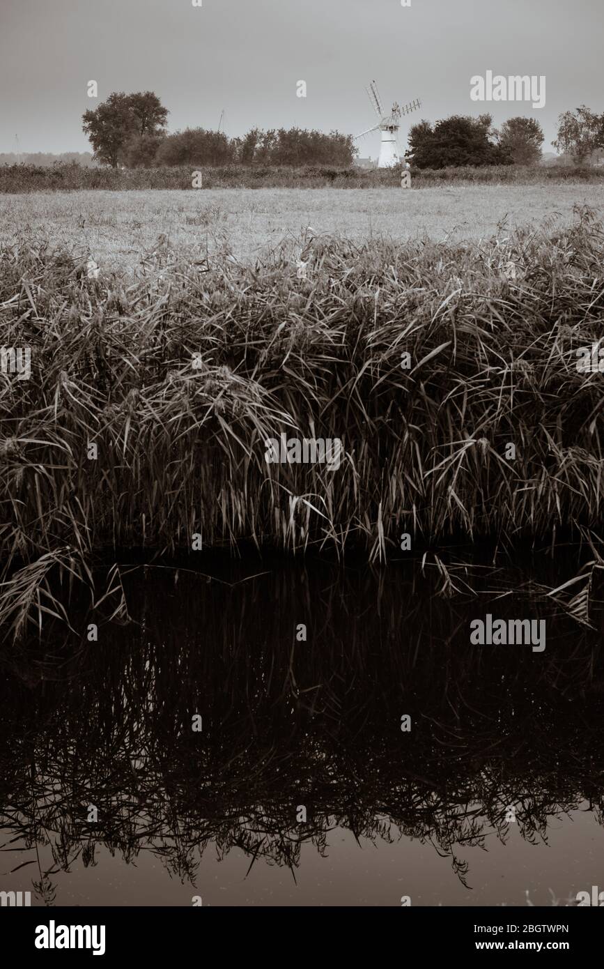 Thurne mill on the Norfolk Broads-Thurne, October 2015 Stock Photo - Alamy