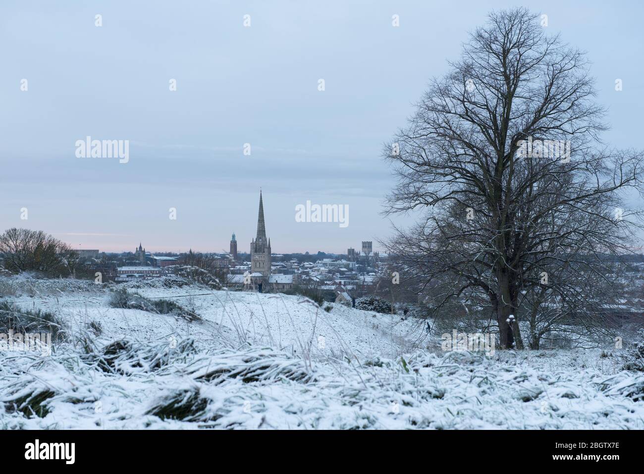 Mousehold heath norwich in winter hi-res stock photography and images ...