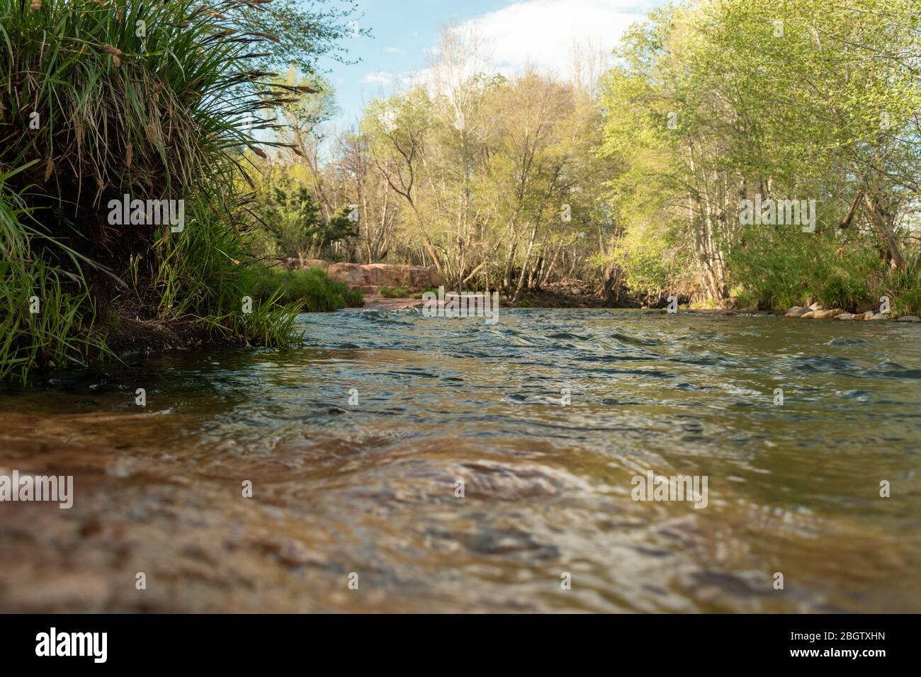 Creek on a spring day hi-res stock photography and images - Alamy