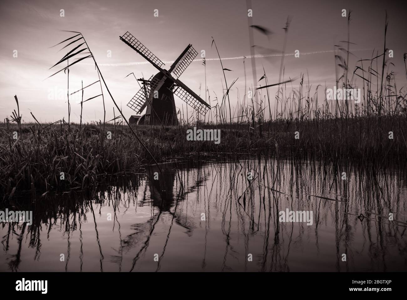 Fens Pool High Resolution Stock Photography and Images - Alamy