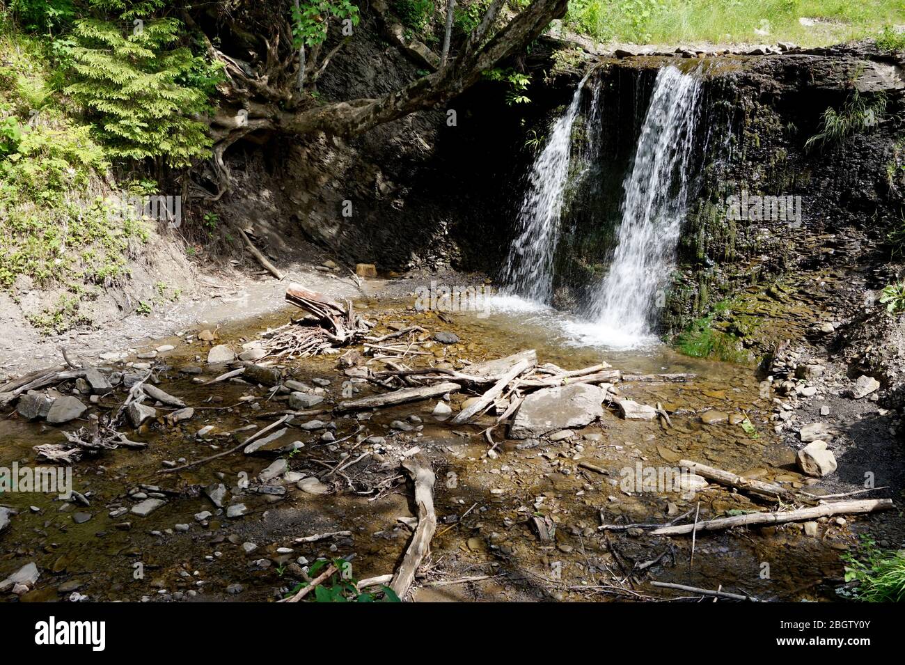 Wetlina river hi-res stock photography and images - Alamy