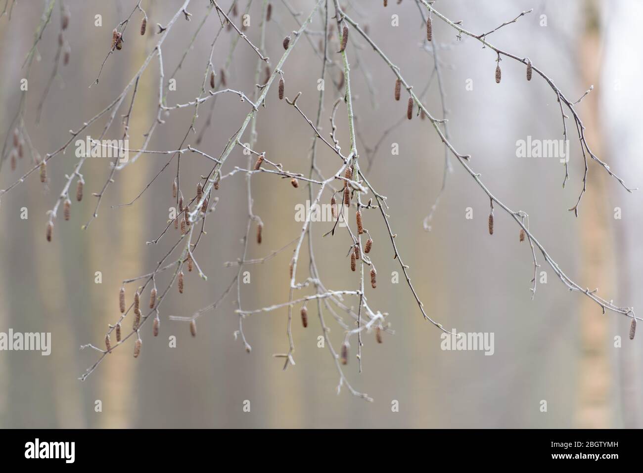 Roudham hi-res stock photography and images - Alamy