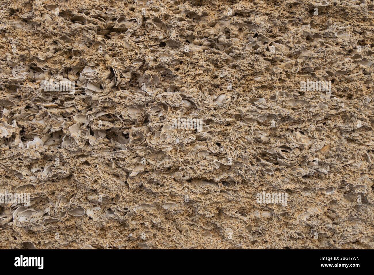 Spongy sandstone hi-res stock photography and images - Alamy