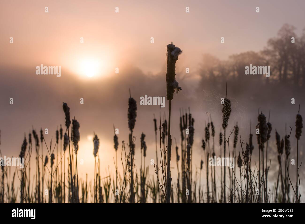 Sunrise through mist hi-res stock photography and images - Alamy