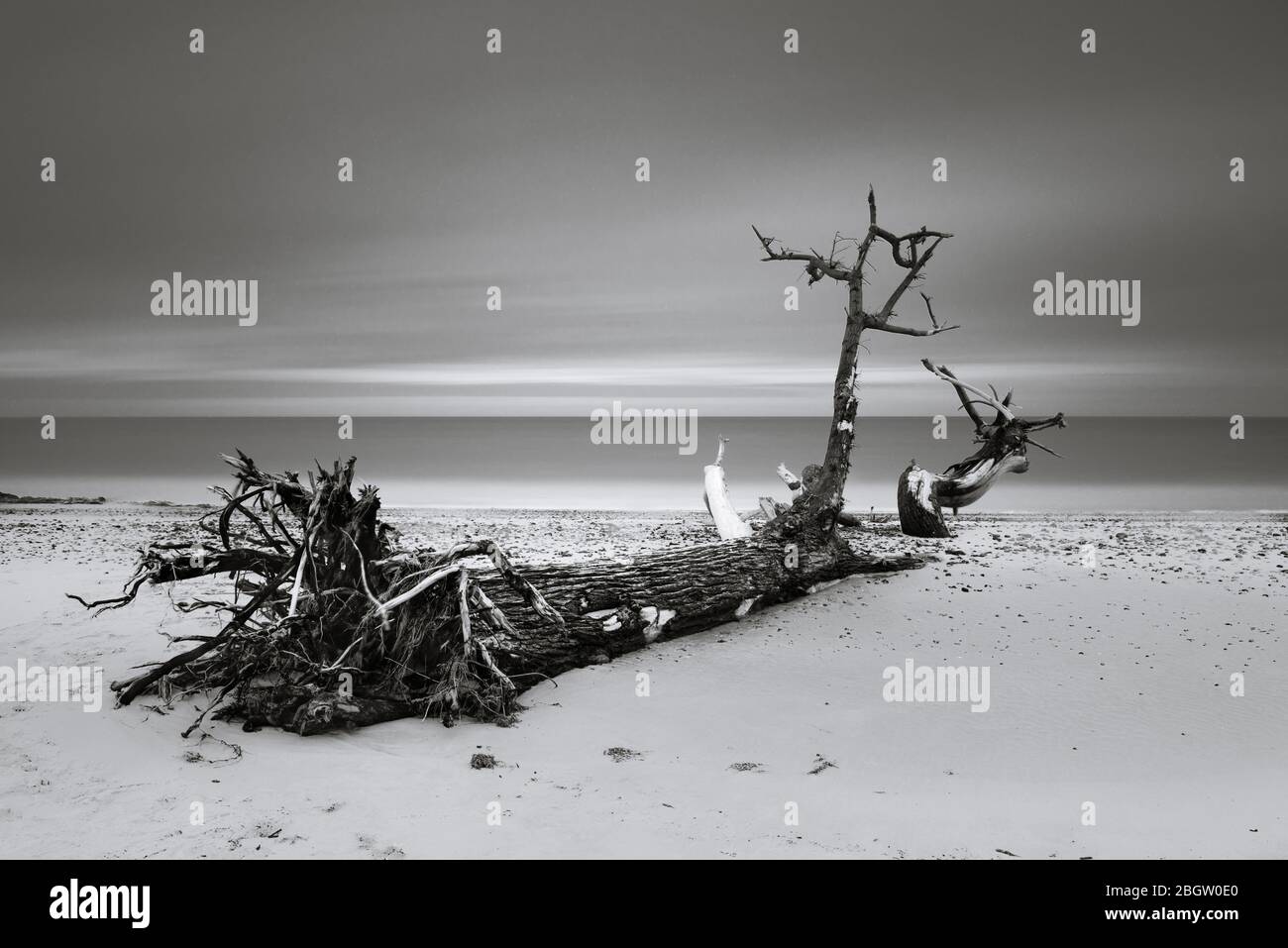 High key exposure hi-res stock photography and images - Alamy