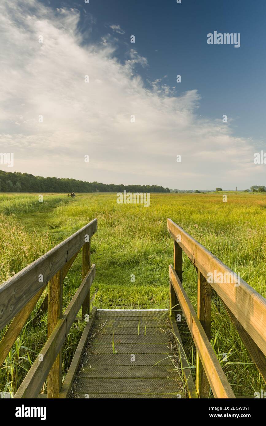 Strumpshaw fen landscape hi-res stock photography and images - Alamy