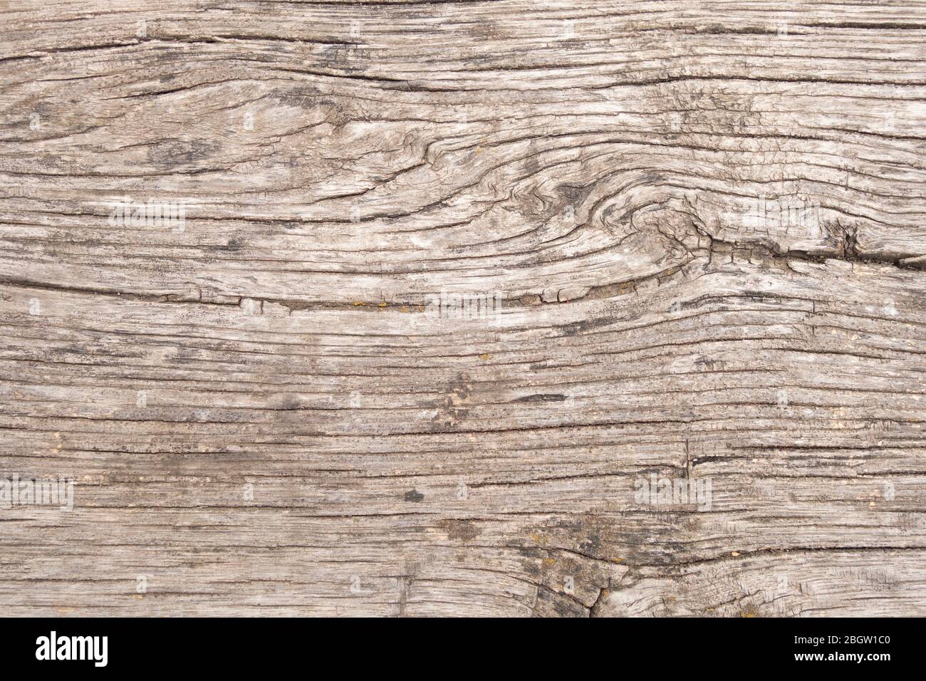 The texture of natural wood. Very old weathered pine surface. Creative ...