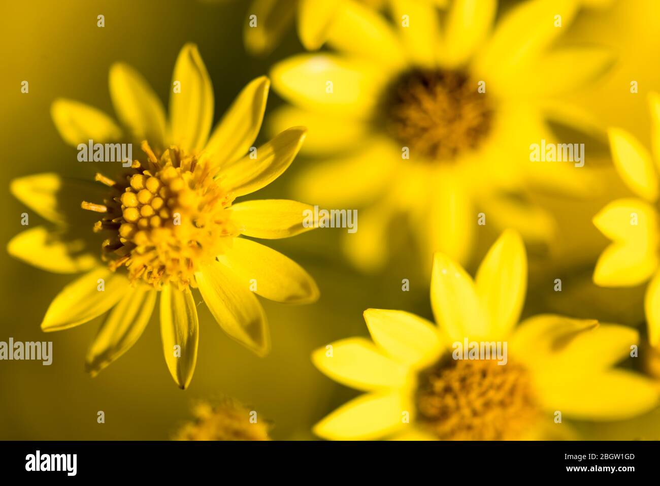Top down view nature uk hi-res stock photography and images - Alamy