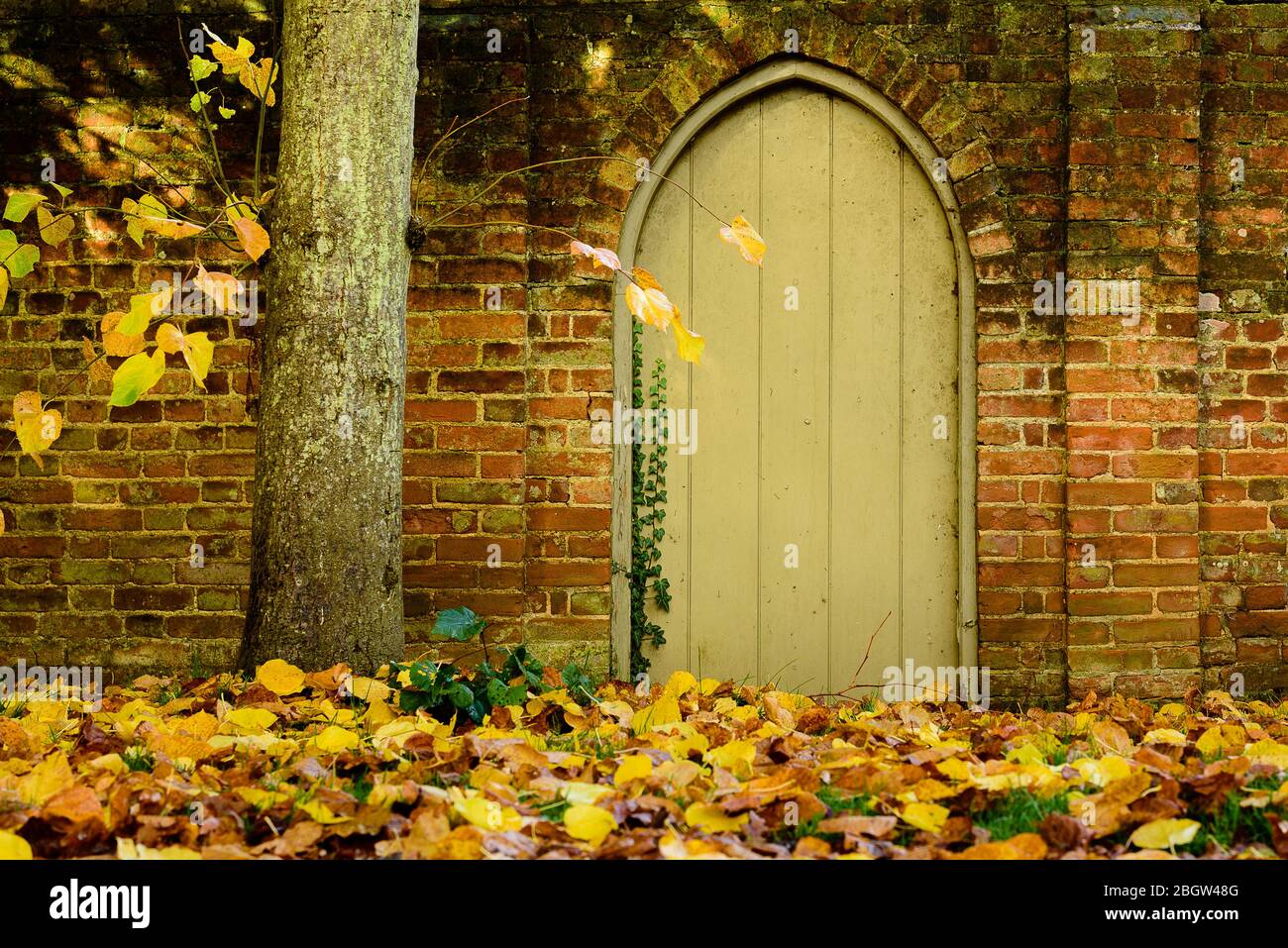 See through brick wall hi-res stock photography and images - Alamy